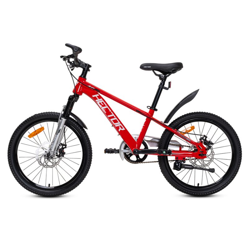 Xe Đạp Trẻ Em Youth HECTOR Ares - Phanh Đĩa, Bánh 20 Inches - xedaptot.com