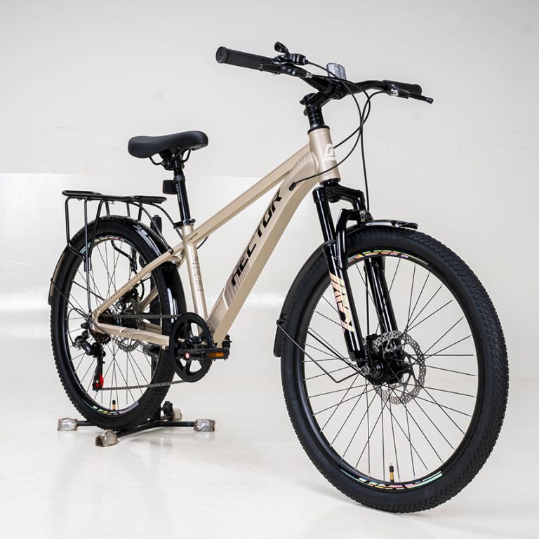Xe Đạp Địa Hình MTB HECTOR Captain - Phanh Đĩa, Bánh 24 Inches ...
