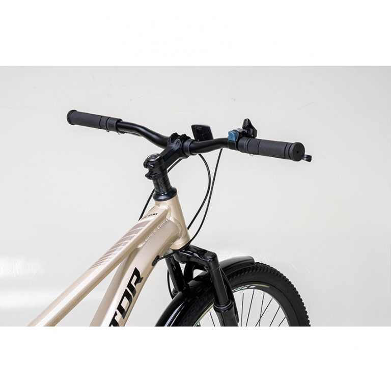 Xe Đạp Địa Hình MTB HECTOR Captain - Phanh Đĩa, Bánh 24 Inches ...
