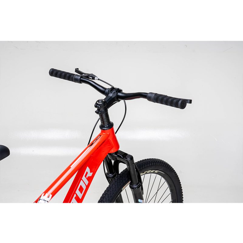 Xe Đạp Địa Hình MTB HECTOR Look - Phanh Đĩa, Bánh 24 Inches - xedaptot.com