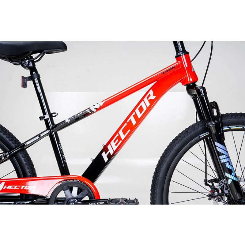 Xe Đạp Địa Hình MTB HECTOR Look - Phanh Đĩa, Bánh 24 Inches - xedaptot.com