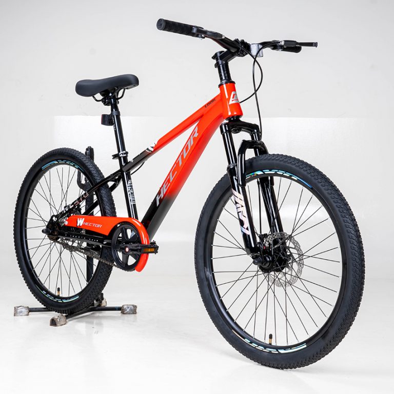Xe Đạp Địa Hình MTB HECTOR Look - Phanh Đĩa, Bánh 24 Inches - xedaptot.com