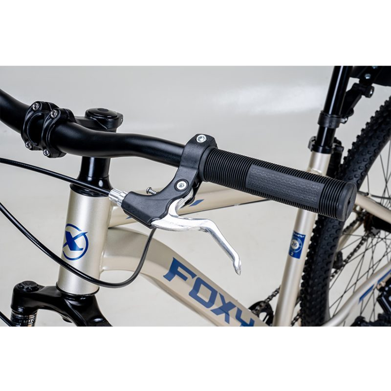 Xe Đạp Địa Hình MTB FOXY Look 2 - Bánh 26 - Phanh Đĩa - xedaptot.com